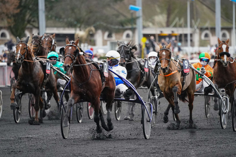 Belle rentrée de notre champion GU D’HÉRIPRÉ | HARAS DE LA FUTELAIE
